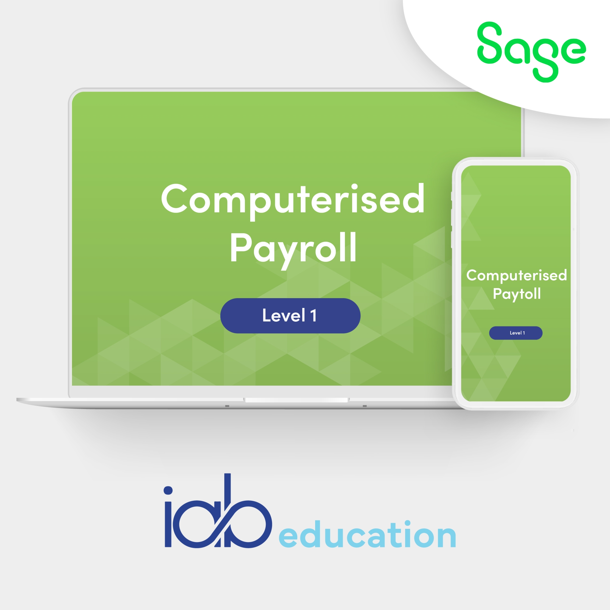 Level 1 Award In Computerised Payroll - Efficient Payroll Management